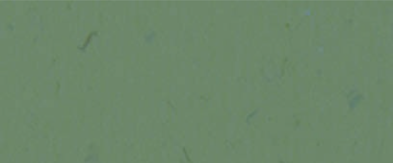 Cedar Green, HFLOR - Homogeneous Sheet Flooring | LX Hausys US