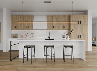 Rococo - VIATERA Quartz Surface | LX Hausys US