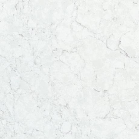 Rococo - VIATERA Quartz Surface | LX Hausys US